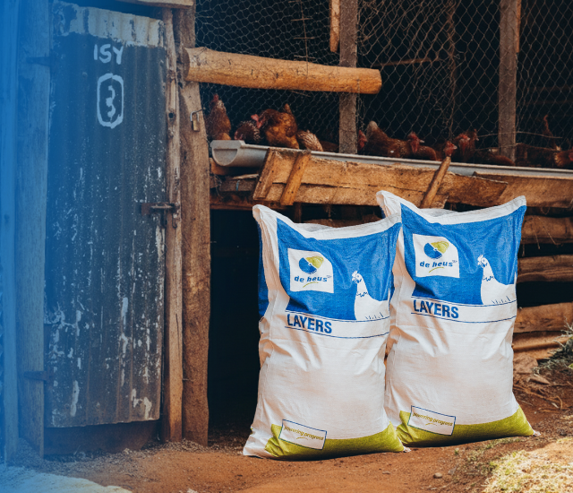 Broiler Complete Feed